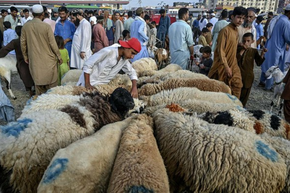 Eid celebrations continue as nation observes second day of Eid ul-Azha