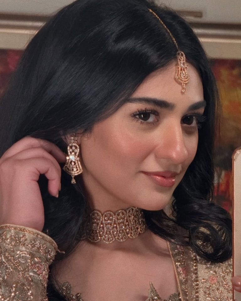 Sher drama – Cast, plot, schedule and timings